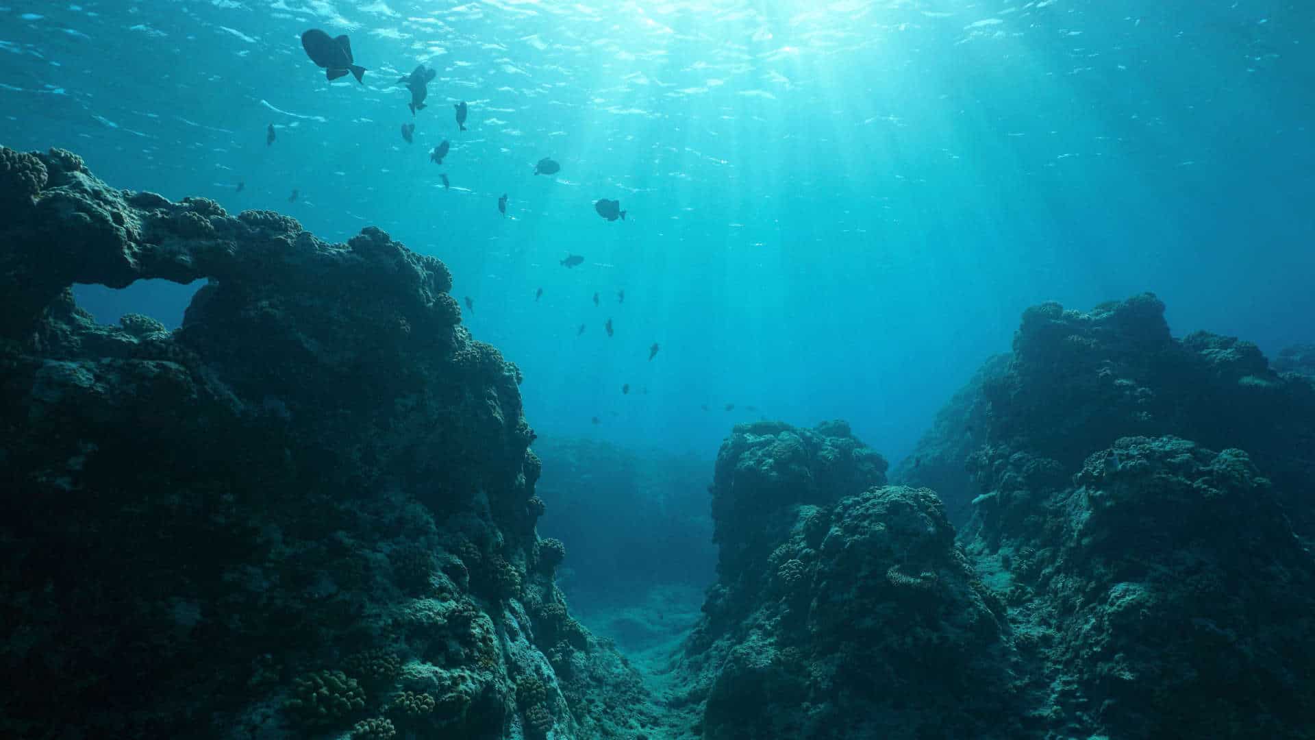 A few tips for filming underwater - Suex