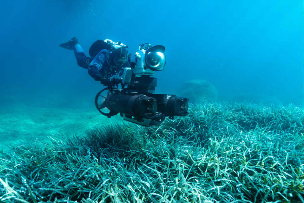 Frame Gemini XJ - Suex